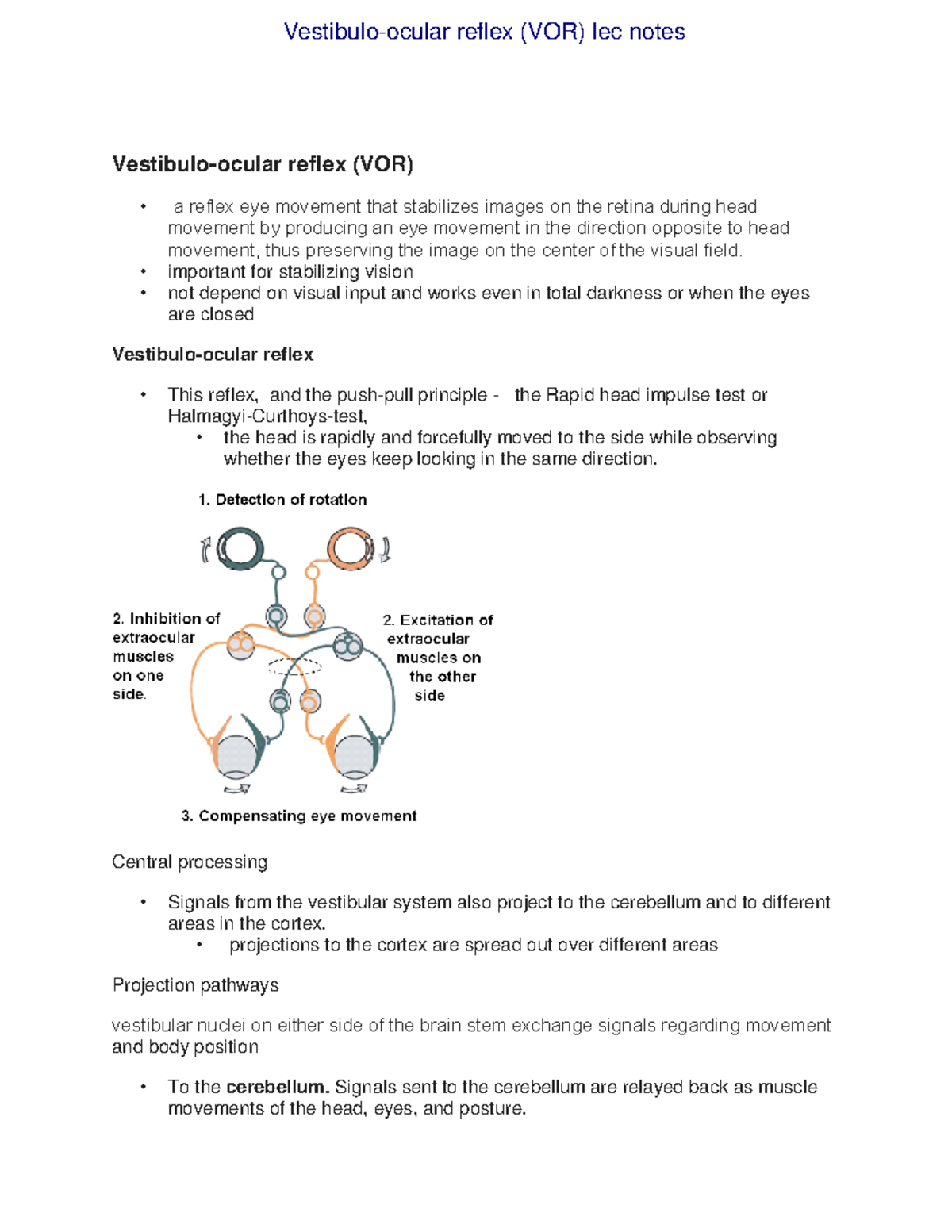 Vestibulo-ocular reflex (VOR) lec notes - possible to sense all ...