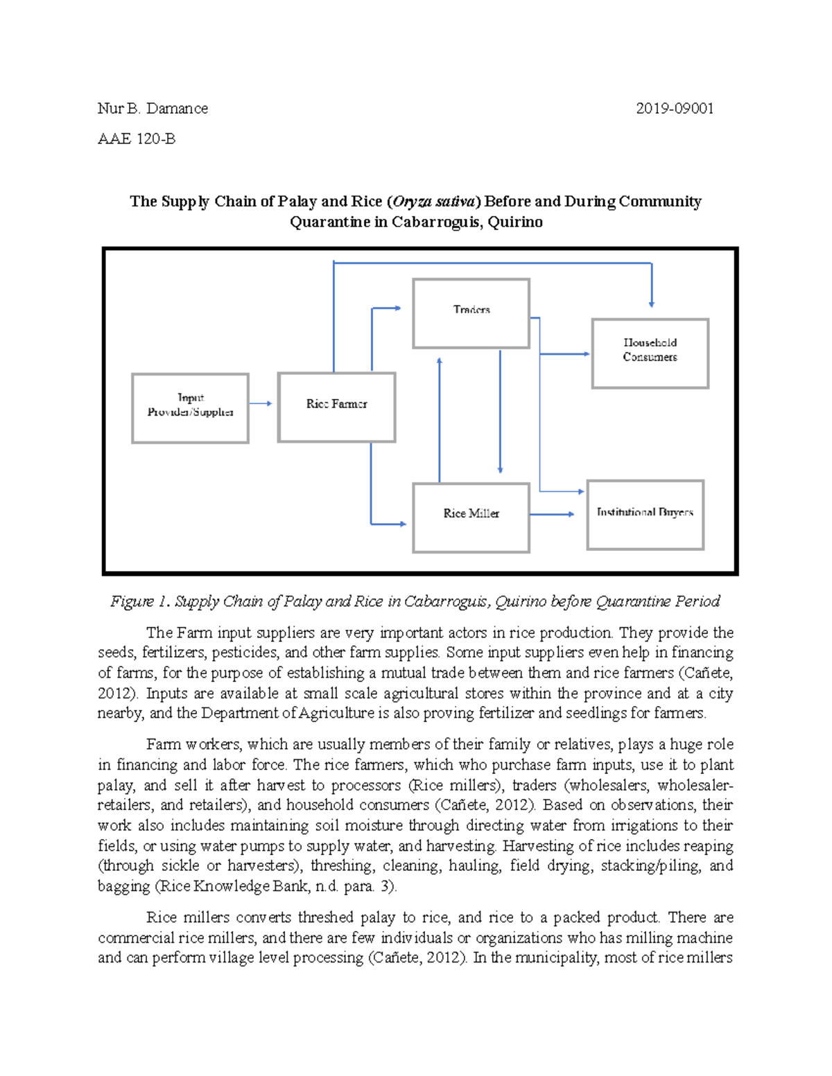Damance Supply chain analysis of Palay and Rice - Nur B. Damance 2019 ...