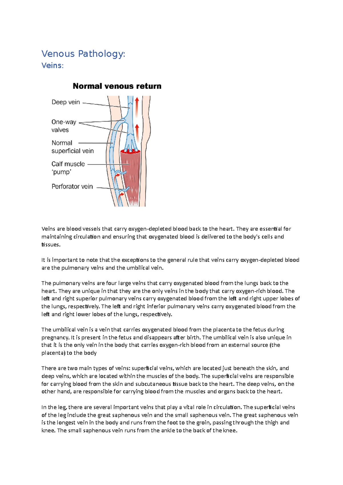 Venous Pathology - sssssssssss - Venous Pathology: Veins: Veins are ...
