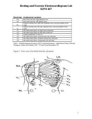 ECG+Rhythm+Interpretation Packet Spring 2017 - EKG Rhythm ...