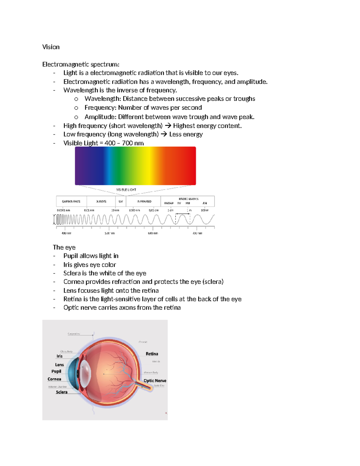 Psyc 355 notes - Vision Electromagnetic spectrum: - Light is a ...