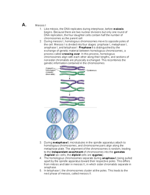 AP Comparative Government and Politics - Unit 1: Political Systems ...