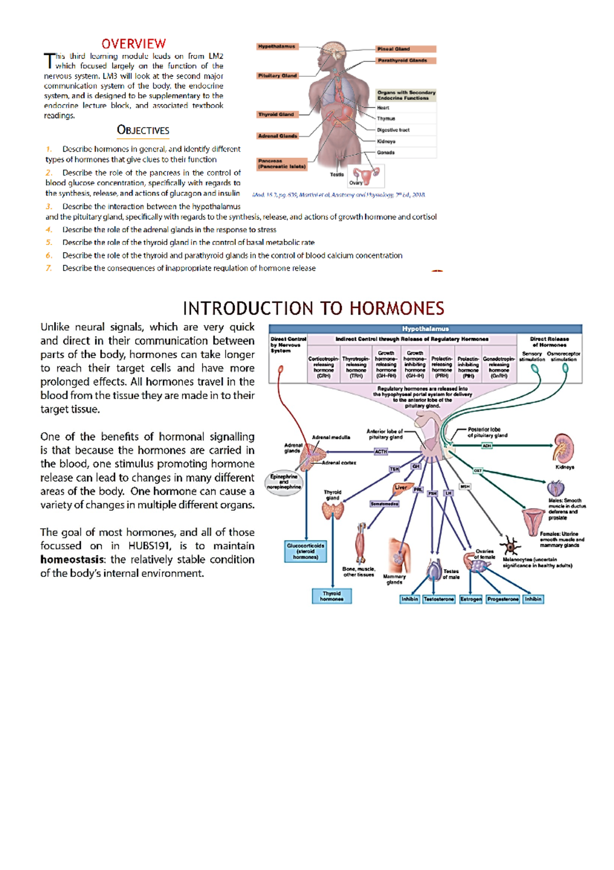 Endocrine module summarised - Human Anatomy - Studocu