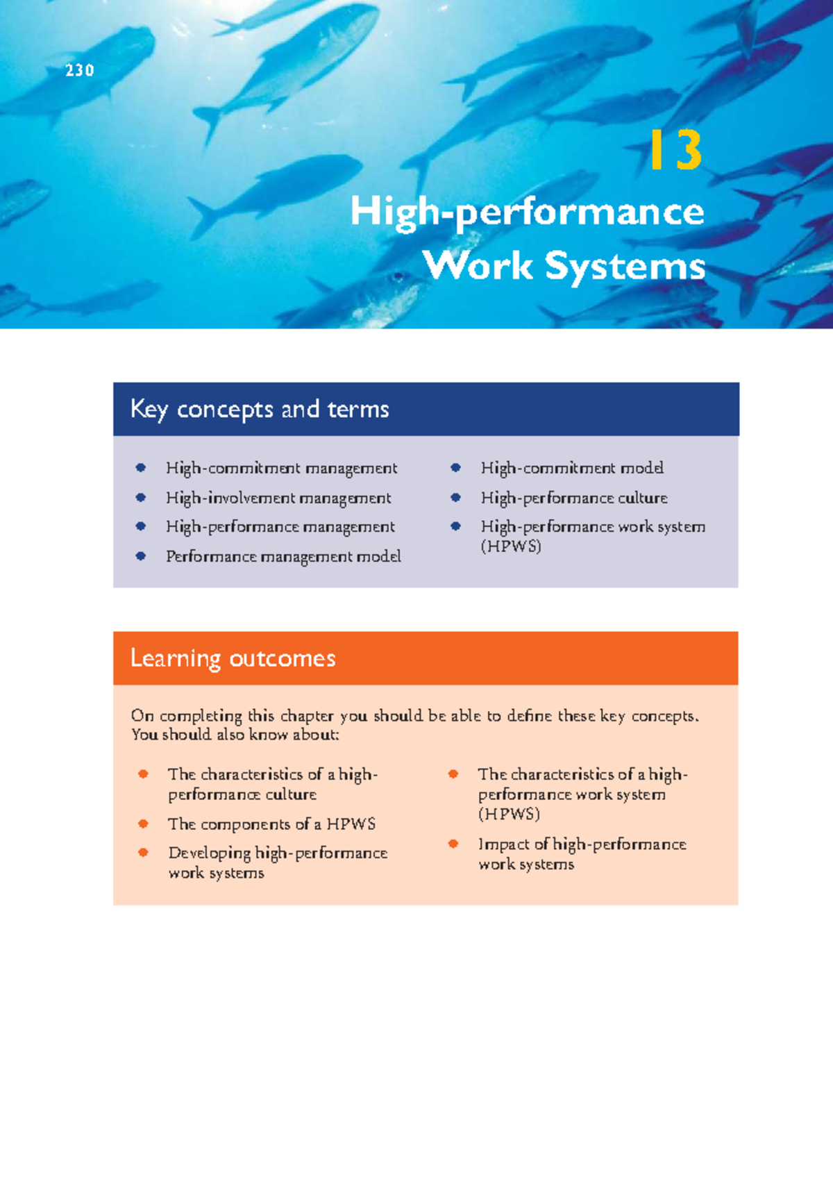13 - High-perfomance Work Systems - 13 High-performance Work Systems ...