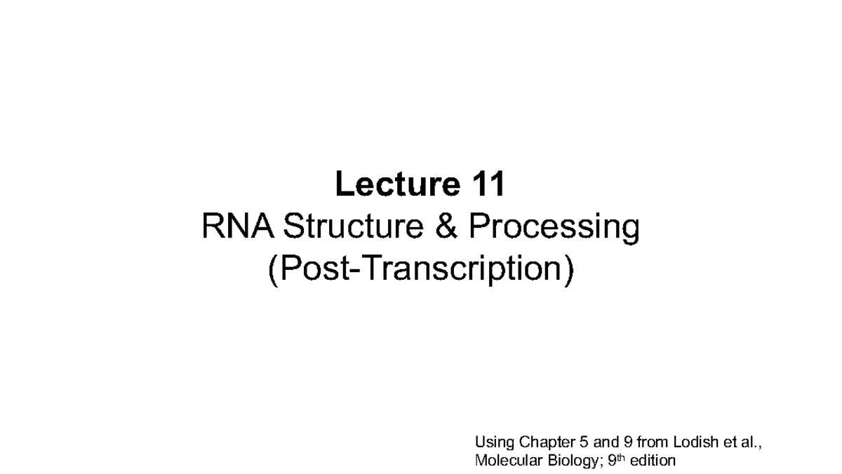 Lecture 11 RNA Structure-Processing (18OCT2022) - Lecture 11 RNA Structure & Processing - Studocu