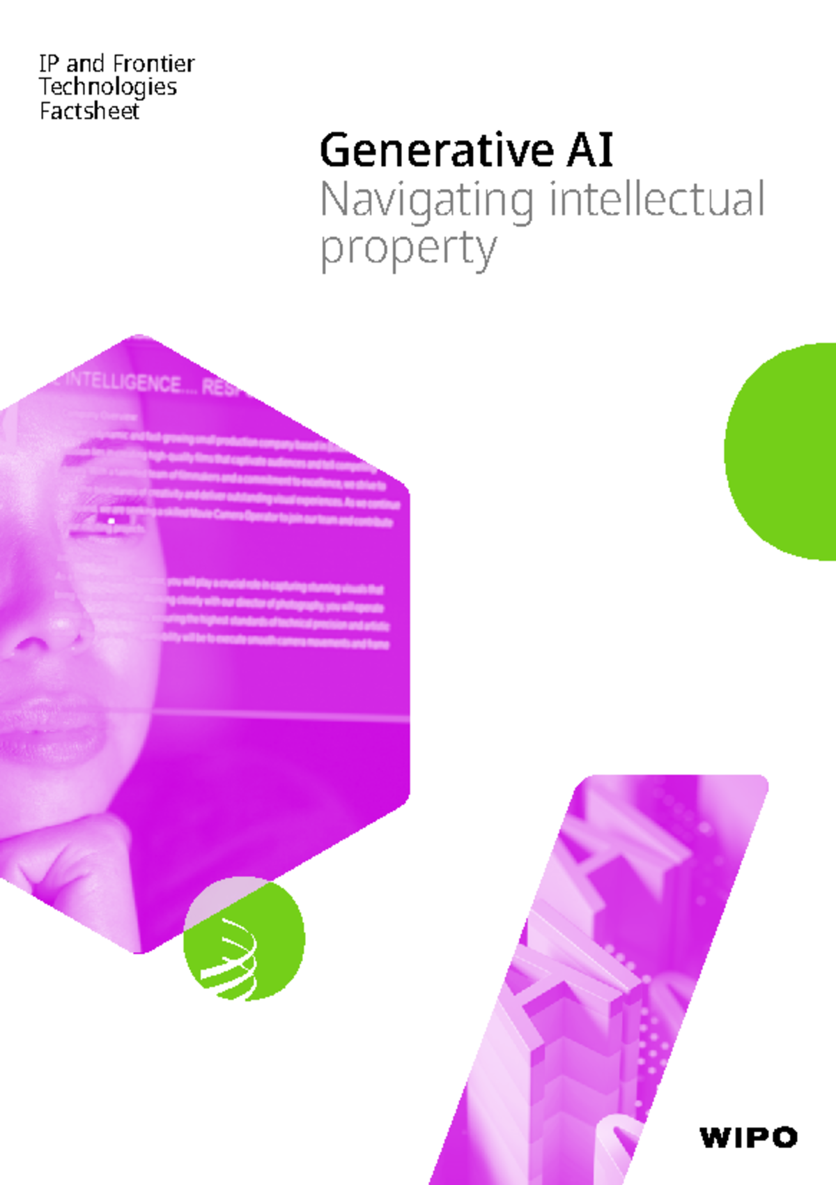 Wipo pub rn2024 8 - Generative AI Navigating intellectual property IP ...