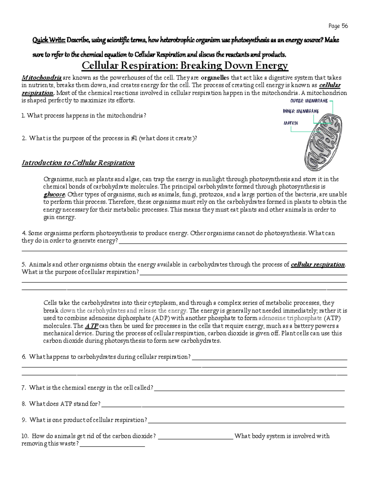 Mariana Terreros Garcia - Cellular respiration Reading - Page 56 Quick ...