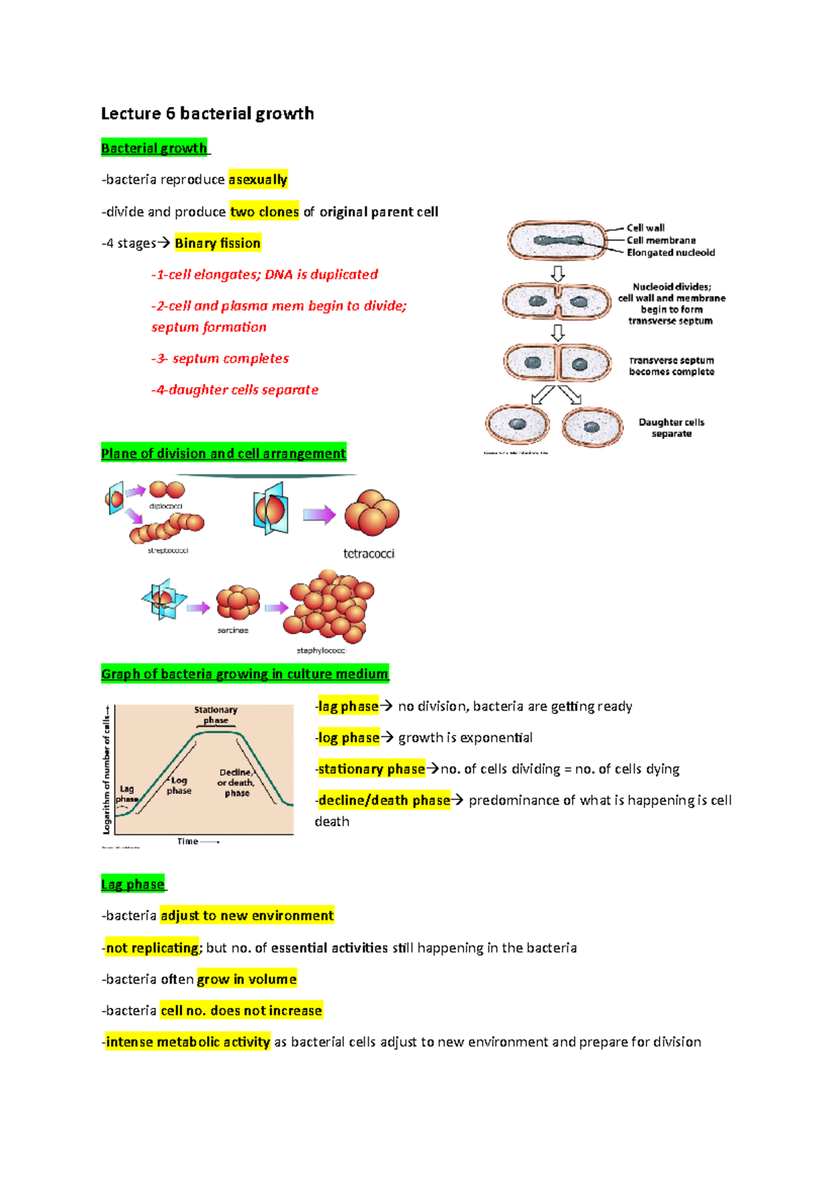 Lecture 6 growth of bacteria - Lecture 6 bacterial growth Bacterial ...
