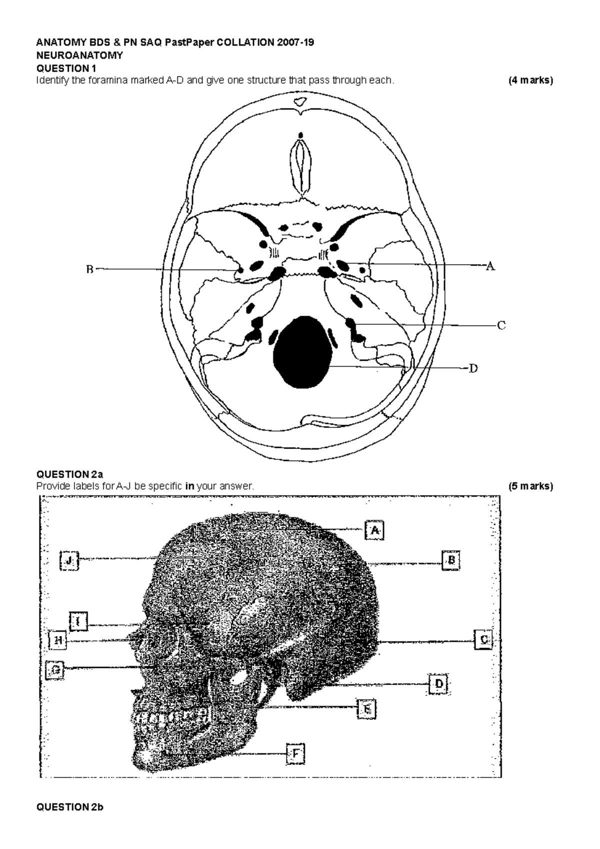 BDS& Pnsaqppneuroanatomy 2007-19 - ANATOMY BDS & PN SAQ PastPaper ...