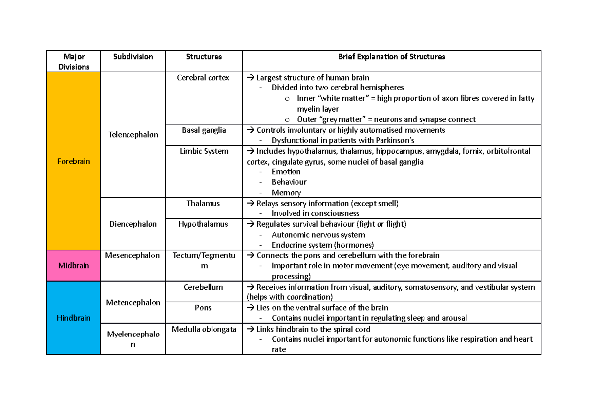 Anatomical features of brain - Major Divisions Subdivision Structures ...