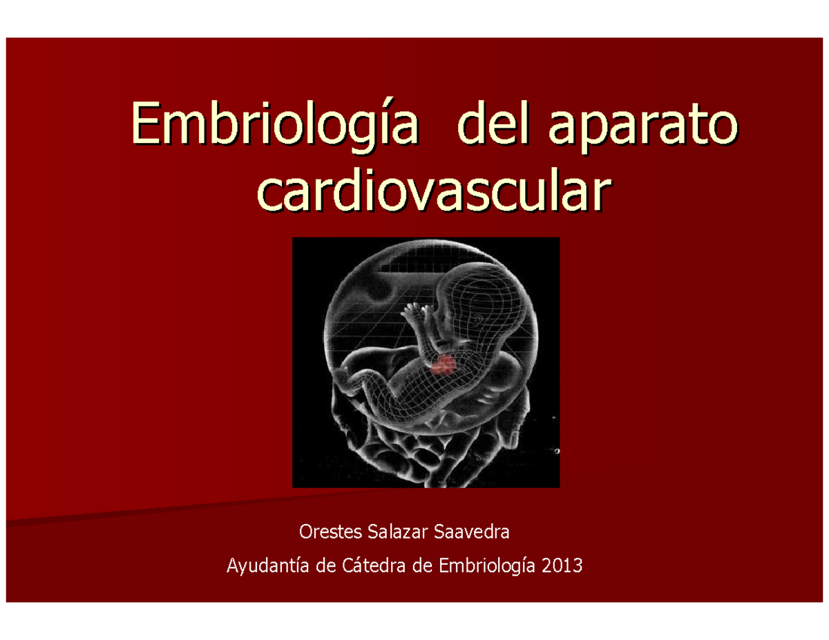 1 2 embriologia del ap cardiovascular - Embriolog Embriolog í í a del ...