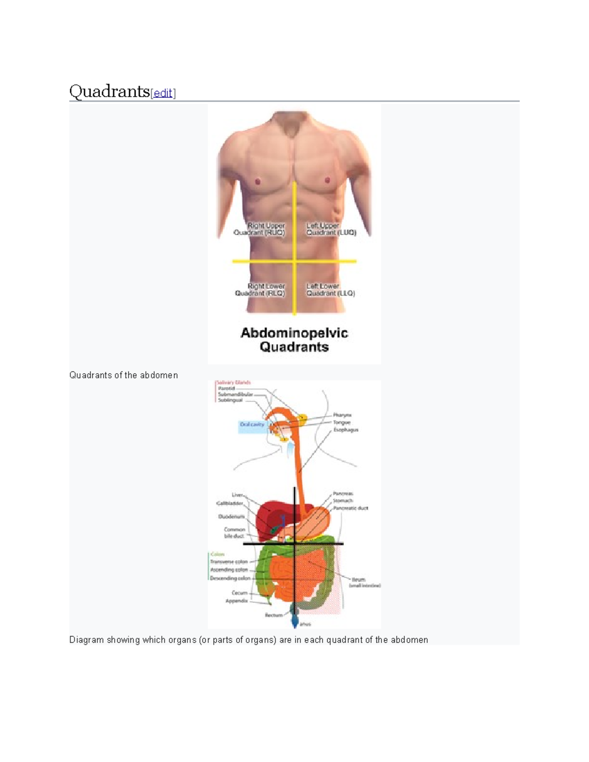 Quadrants and Rgions - Quadrants[edit] Quadrants of the abdomen Diagram ...
