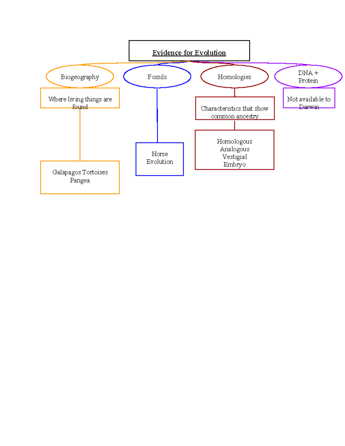 Evidence for Evolution - Evidence for Evolution Biogeography Fossils ...