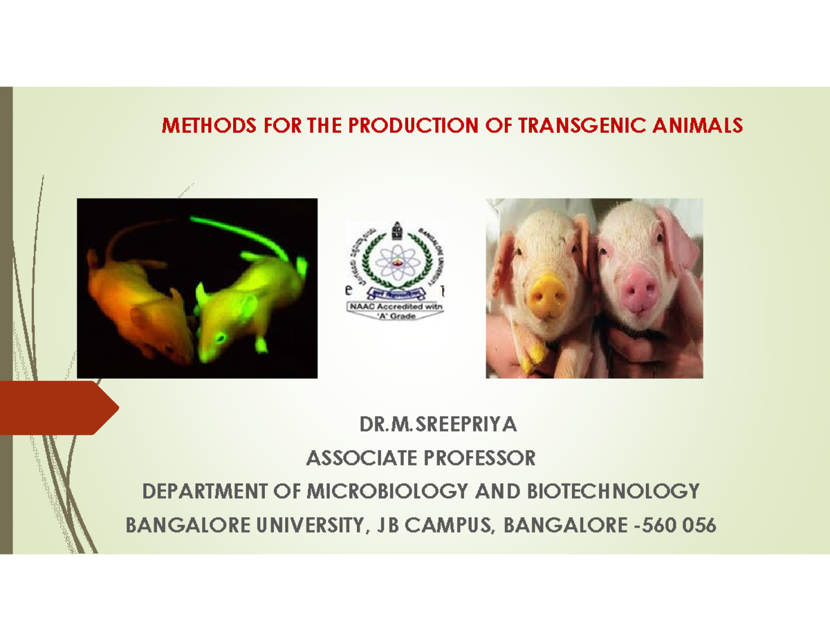 Methods for the production of transgenic animals - Copy - METHODS FOR ...