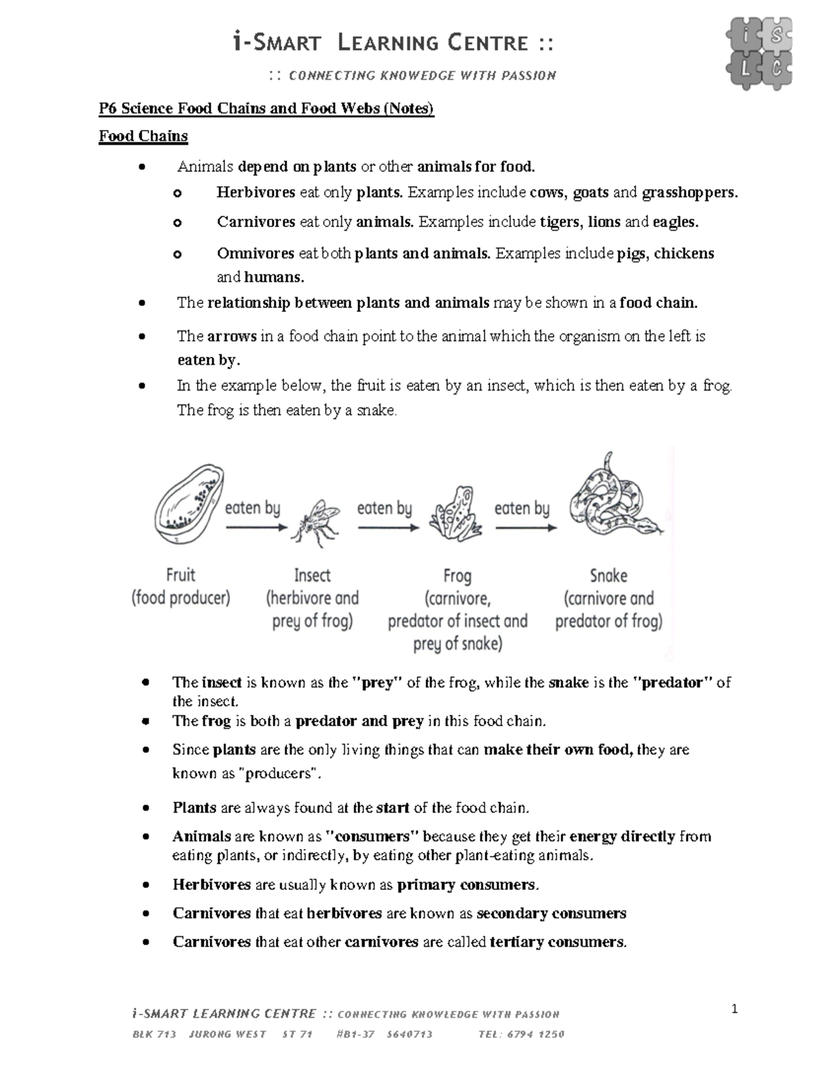 136648185 P6 Science Food Chains and Food Webs Notes - 1 :: CONNECTING ...