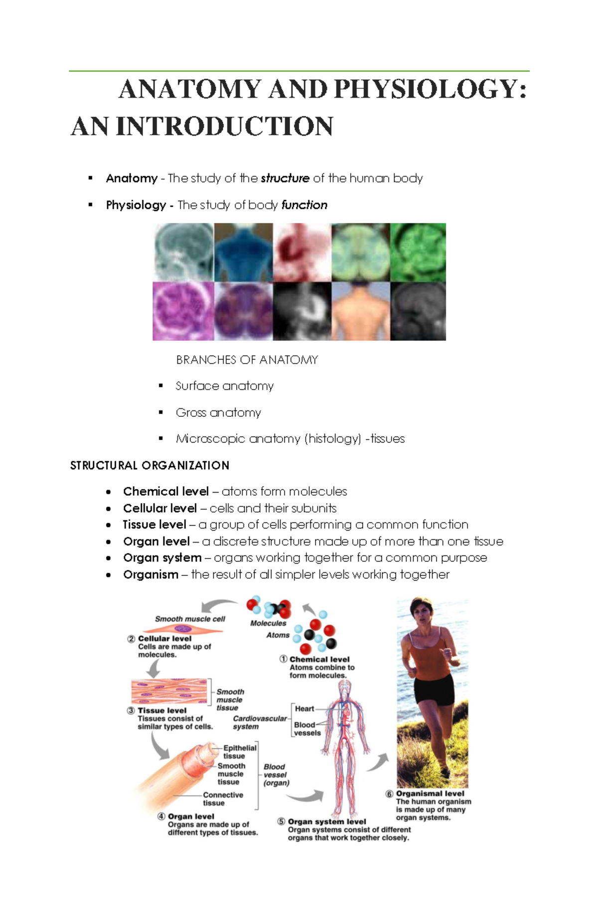 An Introduction to Anatomy and Physiology - ANATOMY AND PHYSIOLOGY: AN ...