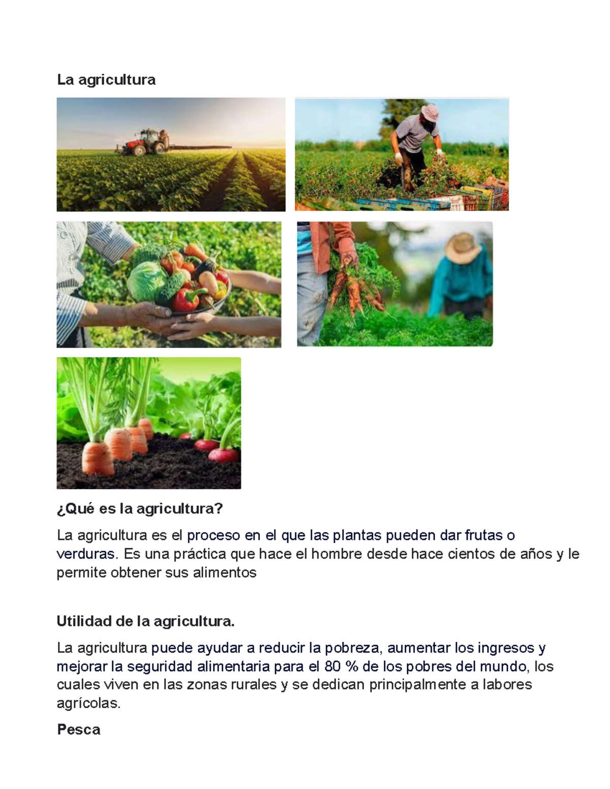 La agricultura - FASD - La agricultura ¿Qué es la agricultura? La ...