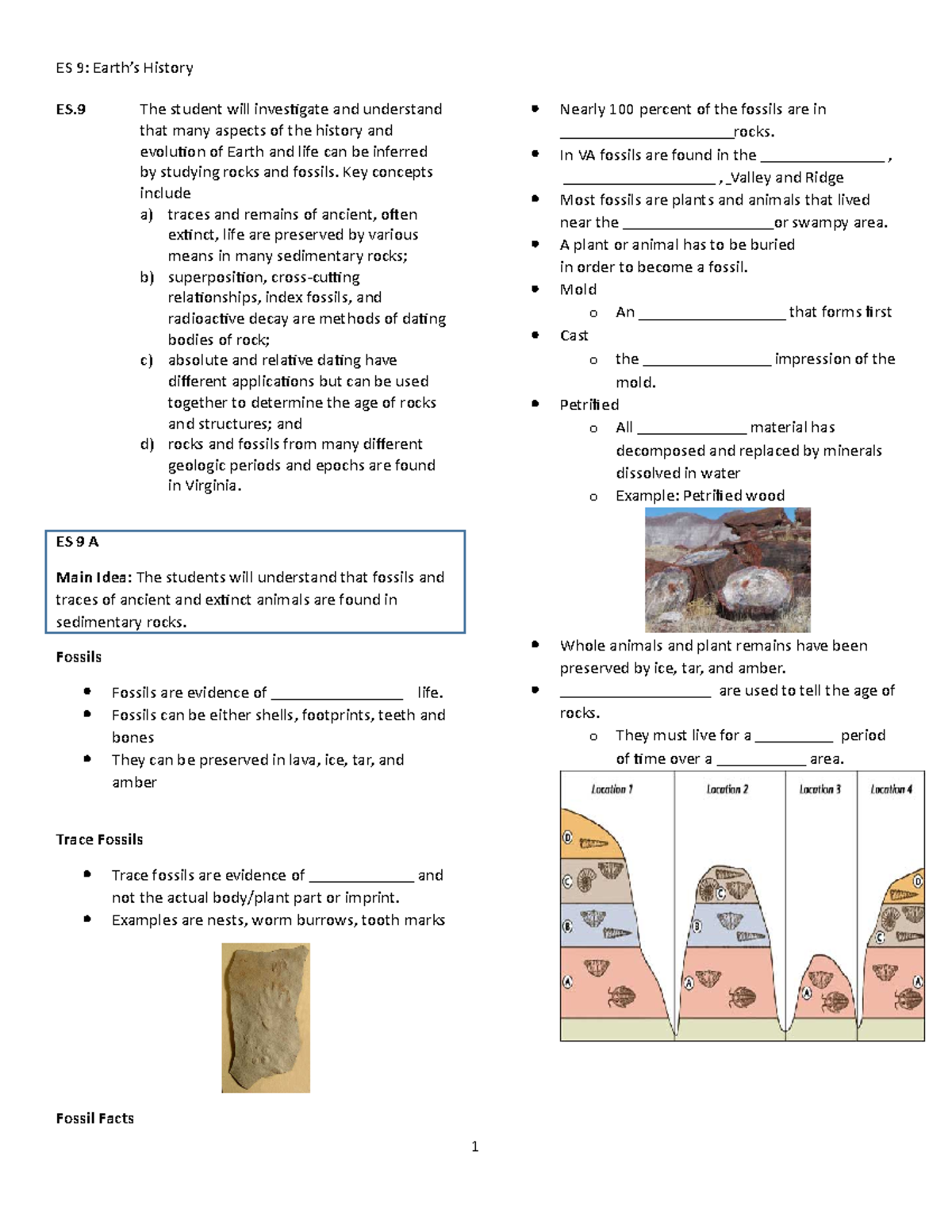 Geologic Time Notes - anonymous - ES The student will investigate and ...