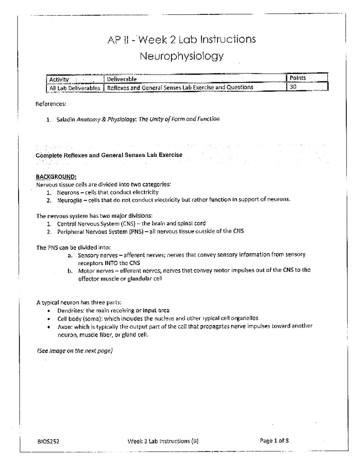 Lab Week 2 Neurophysiology - BIOS 252 - Studocu