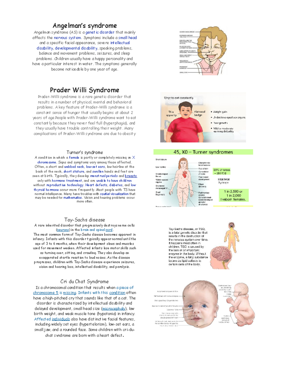 Angelman Syndrome Symptoms