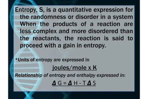 Group 1-assessment-test-pt-1 35 175 2021 - Senior High School - The ...