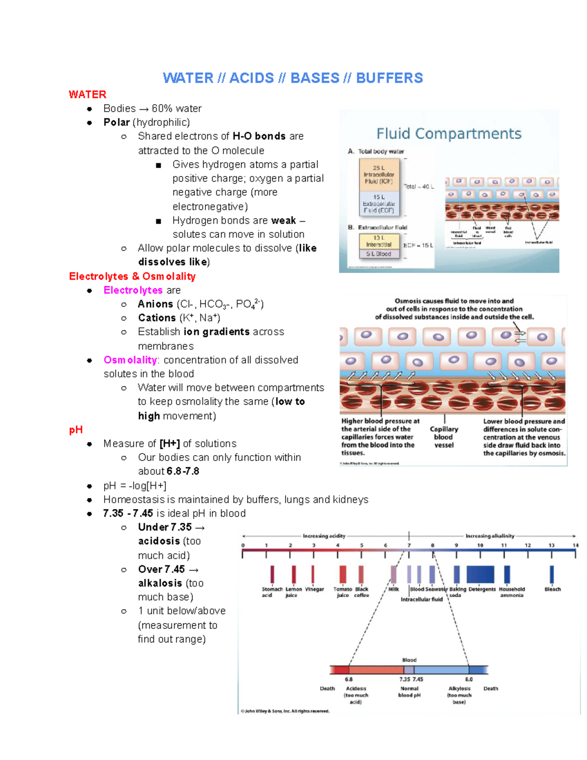 final exam notes - WATER // ACIDS // BASES // BUFFERS WATER Bodies → 60 ...