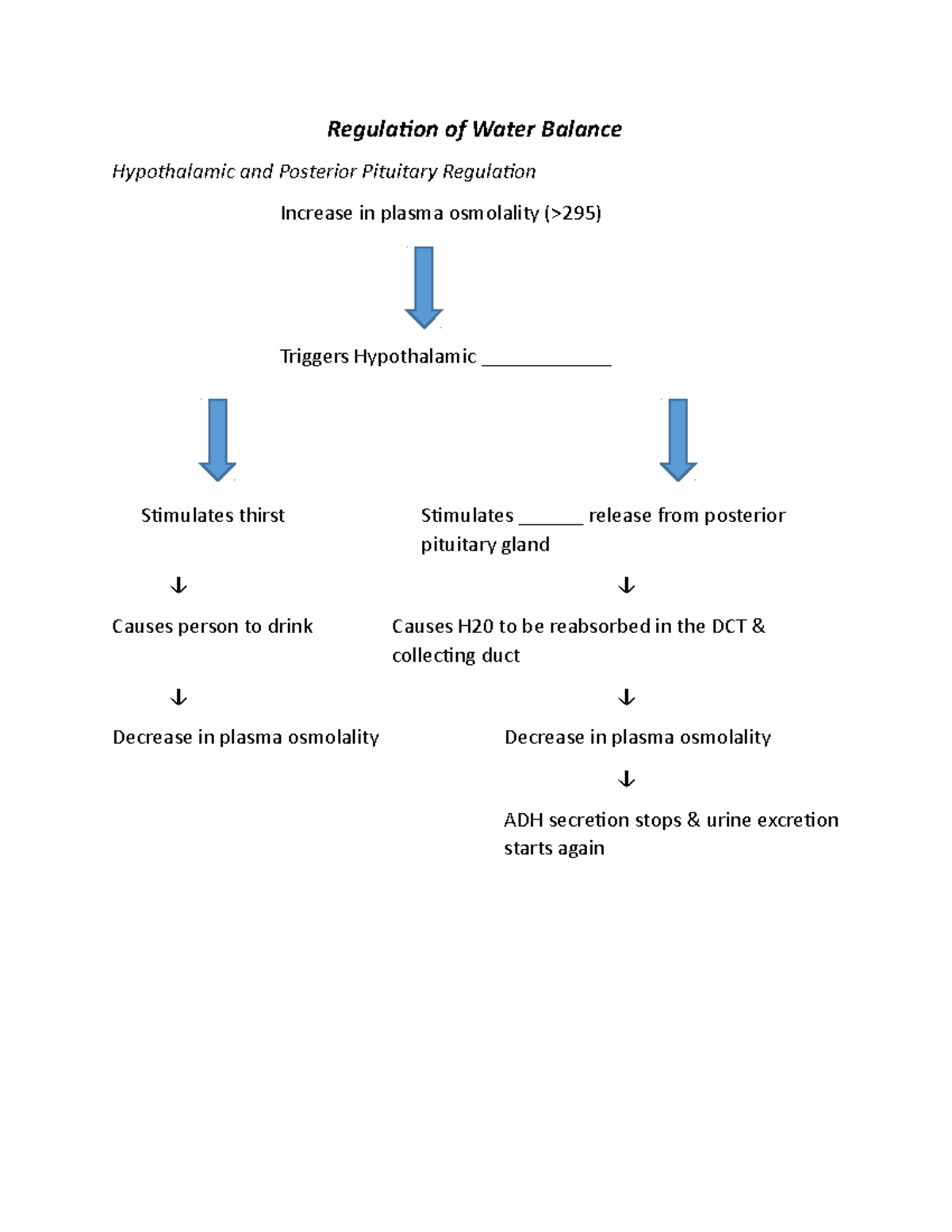 Regulation of Water Balance - Regulation of Water Balance Hypothalamic ...
