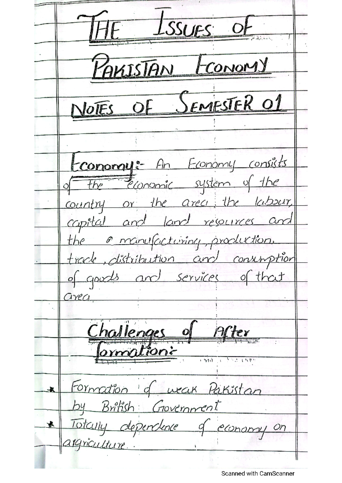 The Major Issues of Pakistan Economy Notes Pak - Institutional ...