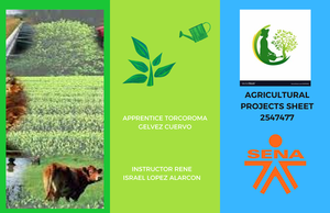 FORO Caracteristicas DEL Trabajo EN Contexto Local - GA4-210201501-AA1-EV02- Foro sobre - Studocu
