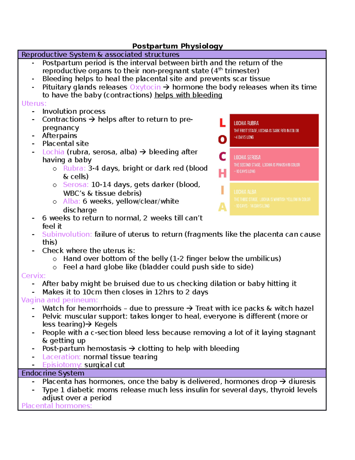 Postpartum Physiology - Postpartum Physiology Reproductive System ...