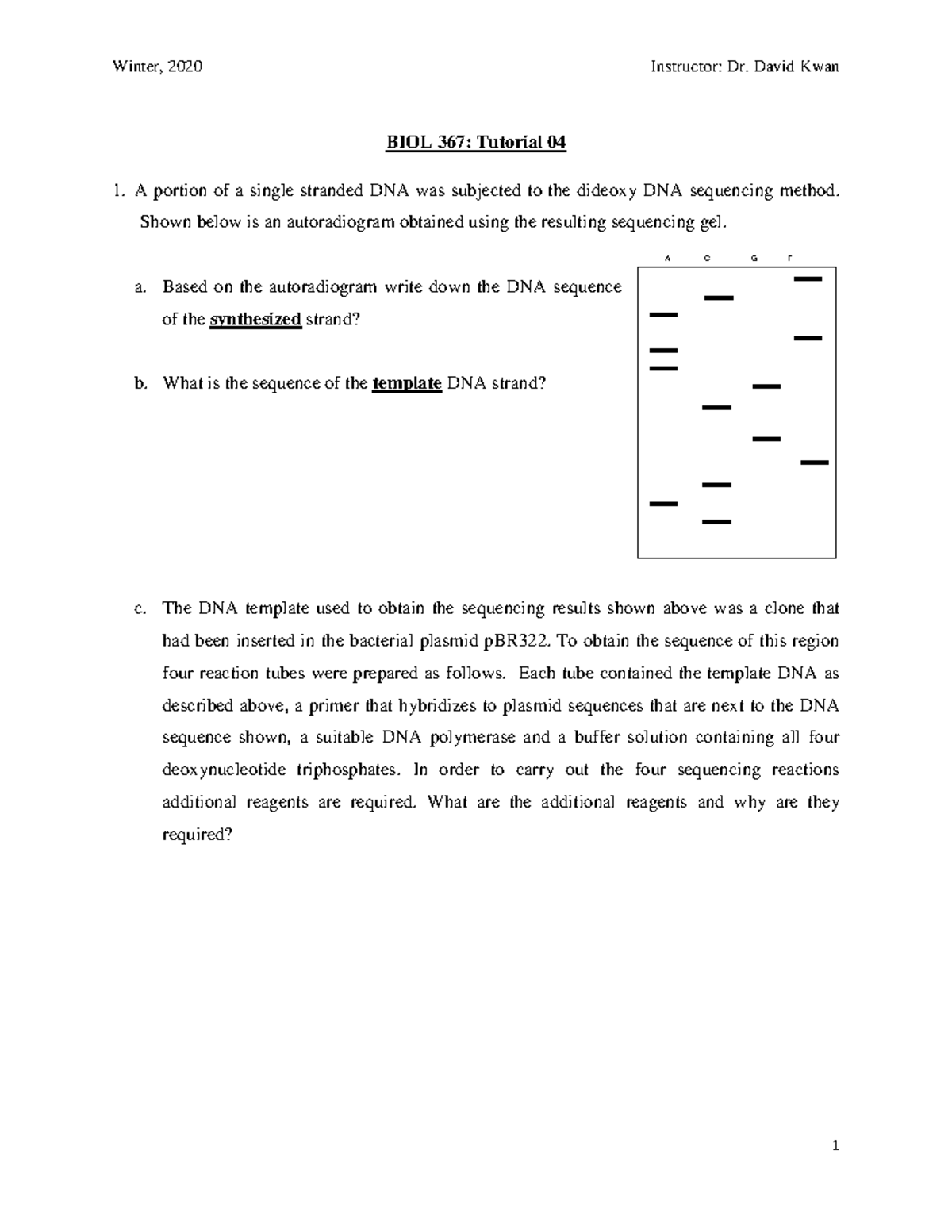 BIOL 367 Tutorial 04 - BIOL 367: Tutorial 04 A portion of a single ...
