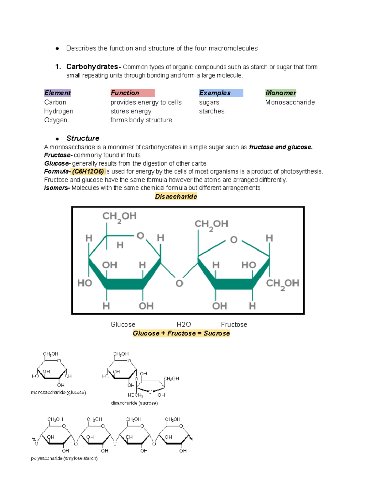 Biochemistry Unit Test Review - Describes the function and structure of ...