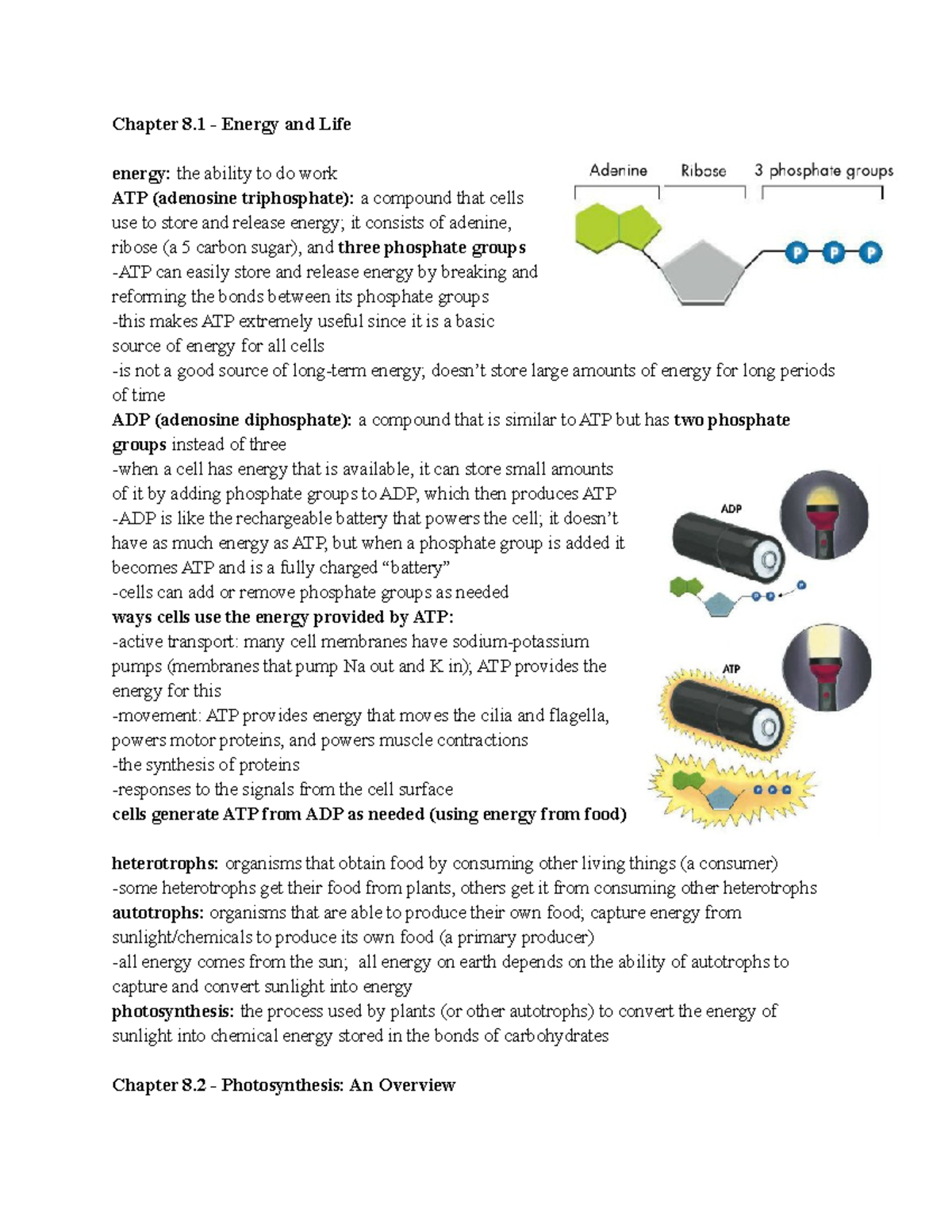 Chapter 8 Notes - Chapter 8 - Energy and Life energy: the ability to do ...