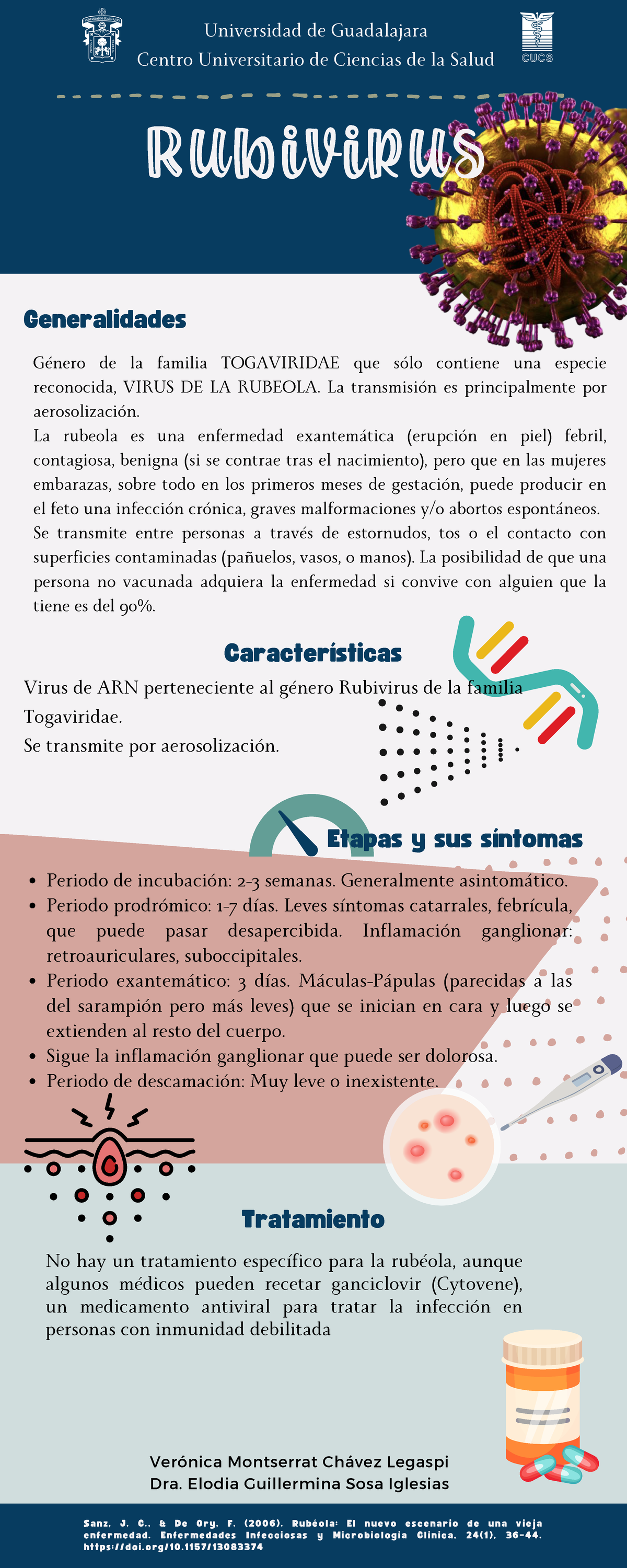 VMCL Rubivirus - Universidad de Guadalajara Centro Universitario de ...