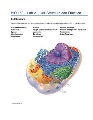 BIO150 - anatomy and physiology - Salem Community College Course ...