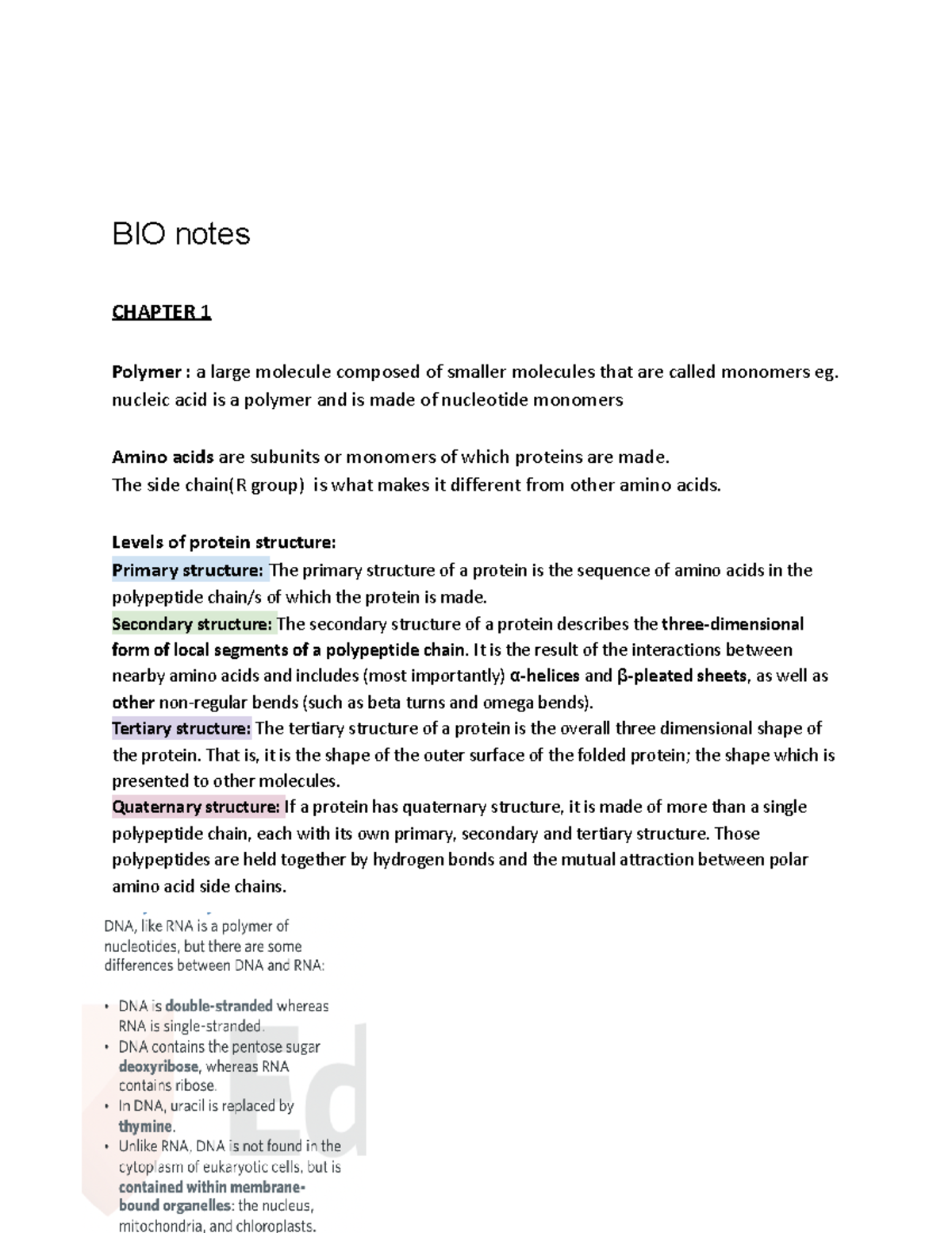 BIO notes - BIO notes CHAPTER 1 Polymer : a large molecule composed of ...