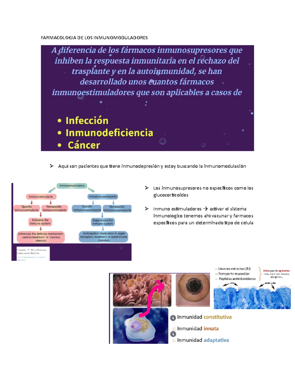 Farmacos Inmunomoduladores - FARMACOLOGIA DE LOS INMUNOMODULADORES Aquí ...