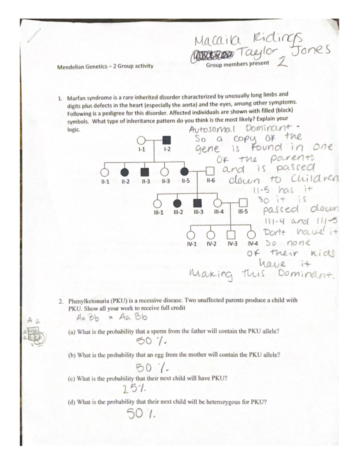 Week 11-Genetics worksheets - BIOL 3100 - Studocu