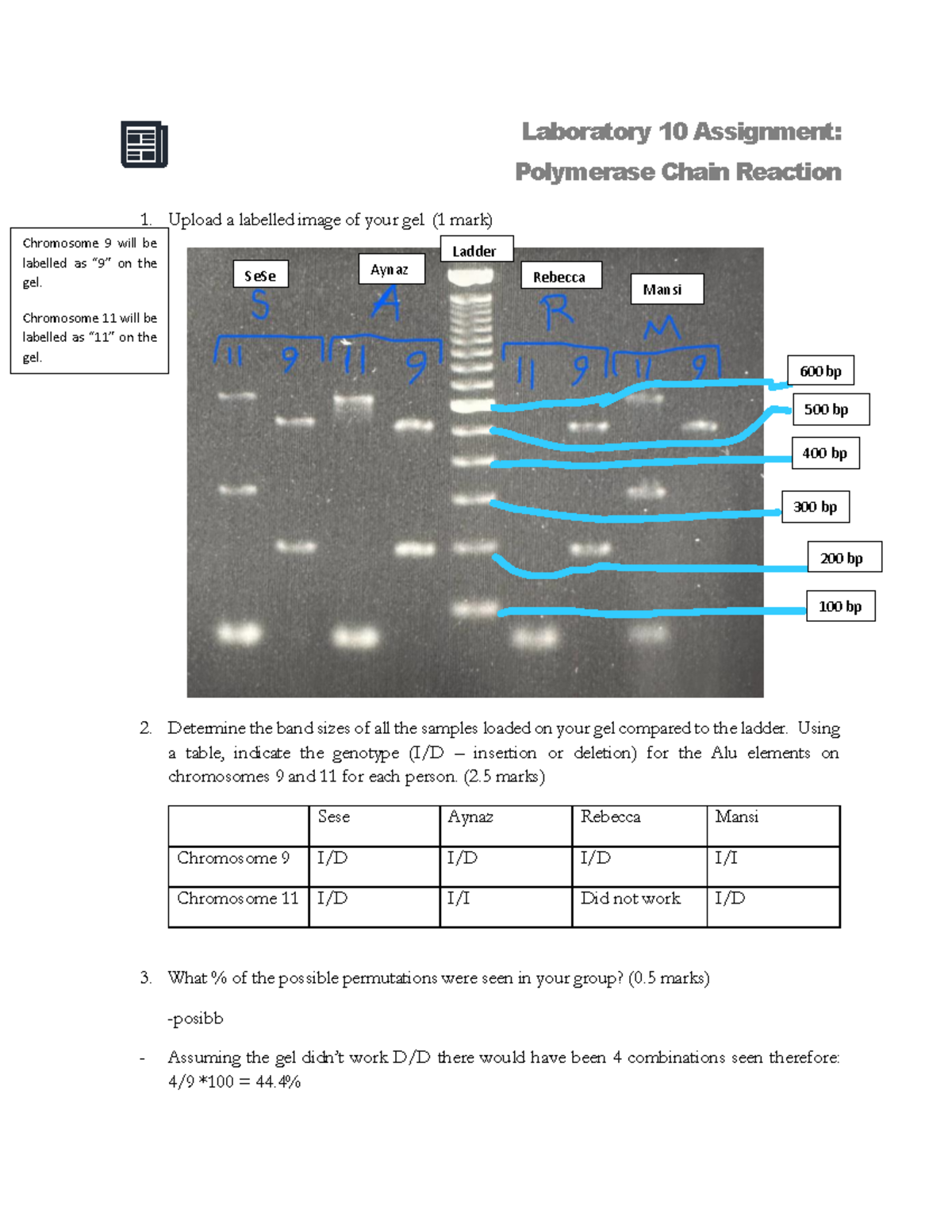 Lab 10 Assignment - lab 10 - Laboratory 10 Assignment: Polymerase Chain Reaction Upload a ...