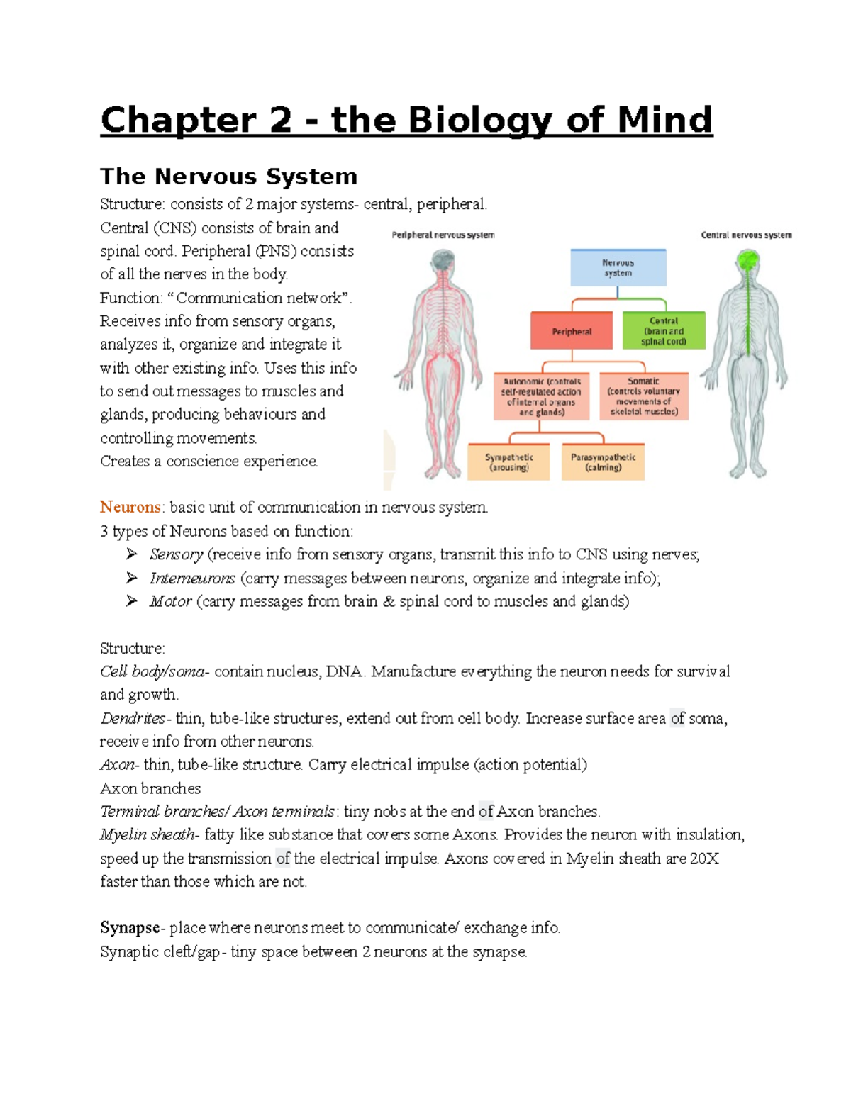Chapter 2 - n/a - Chapter 2 - the Biology of Mind The Nervous System ...