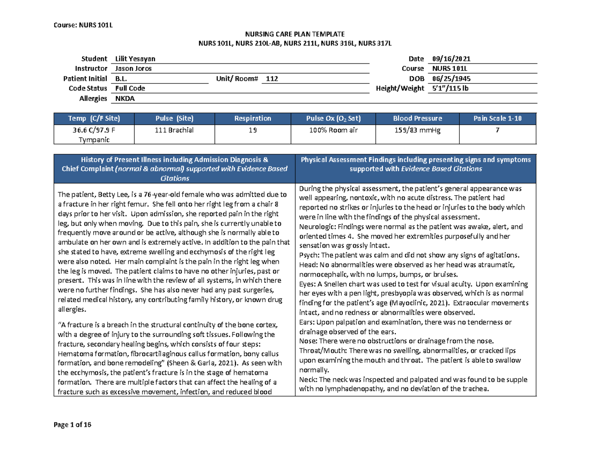 NURS 101L Example Care Plan-1 - NURSING CARE PLAN TEMPLATE NURS 101L ...