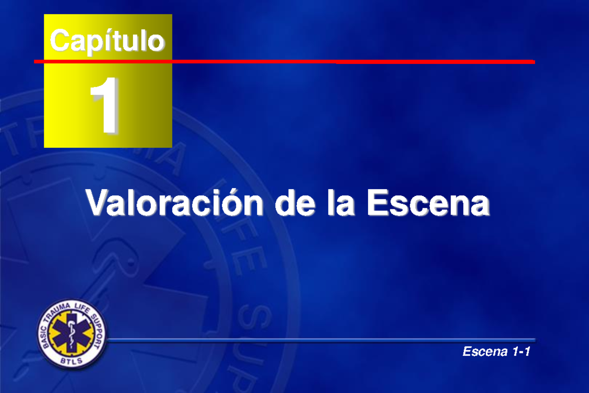 Valoracion de la escena diapositiva explicativa - Valoración de la ...