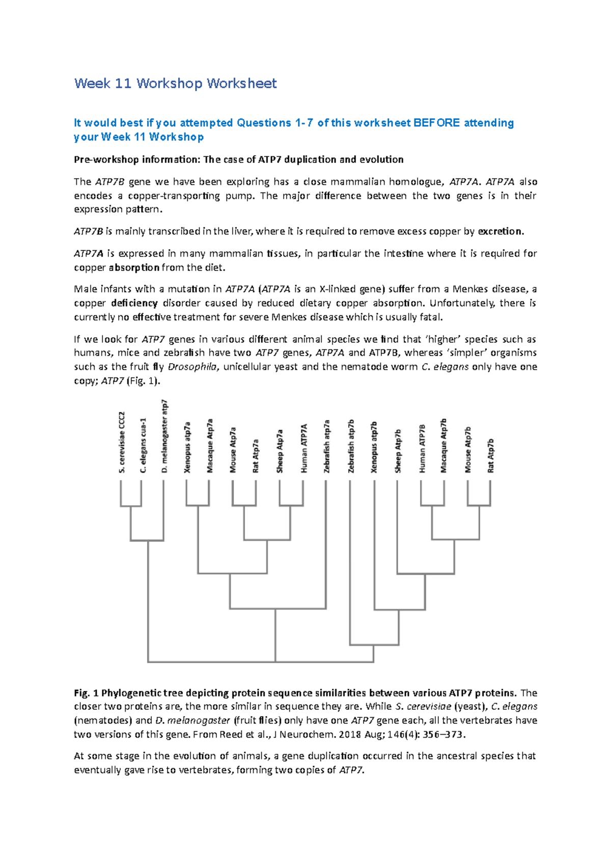 BIO1011 2022 Week 11 worksheet - Week 11 Workshop Worksheet It would ...
