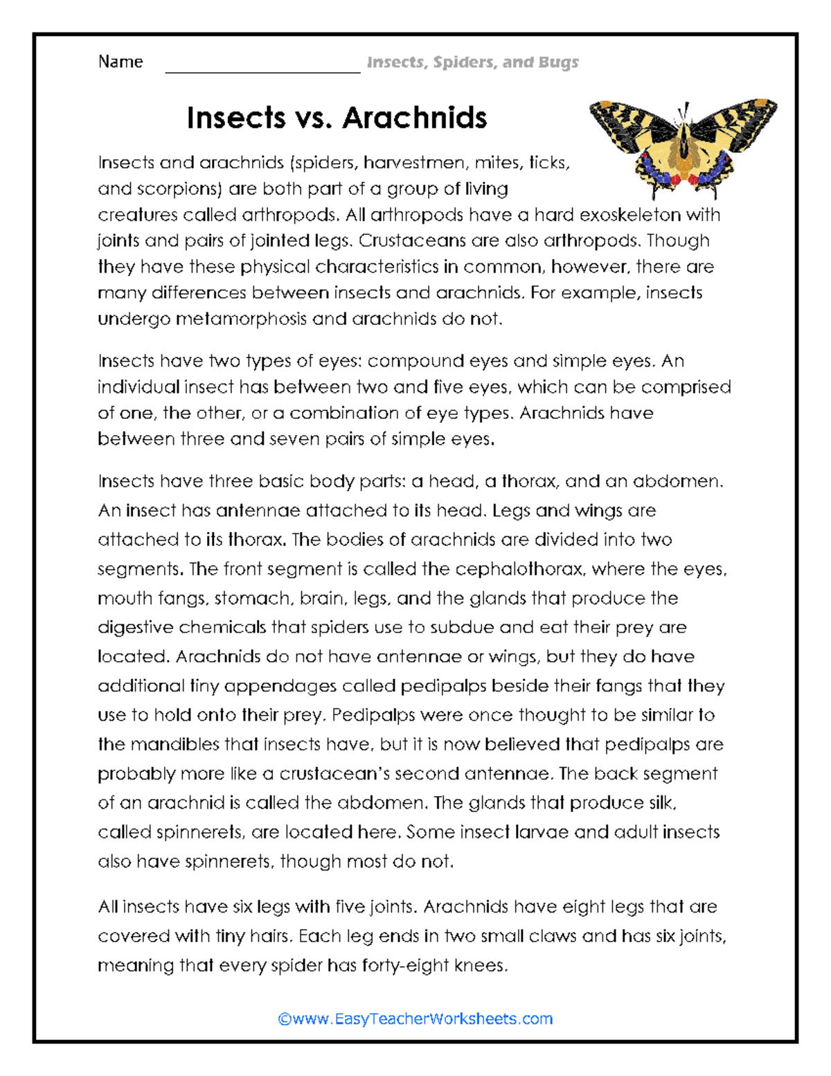 4 - short summary on arthropods - Name Insects, Spiders, and Bugs ...