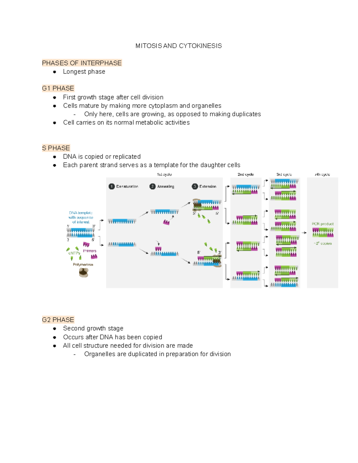 Mitosis AND Cytokinesis - MITOSIS AND CYTOKINESIS PHASES OF INTERPHASE ...
