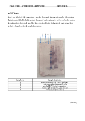 [Solved] A liquid food oil i is manufactured from beef fat ii is ...