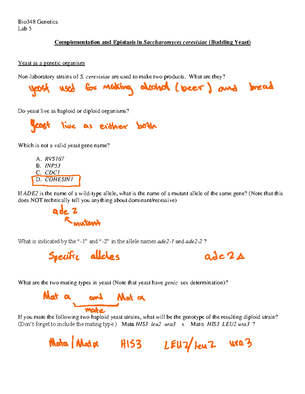 Lab4.Yeast Complementation copy - Bio348 Genetics Lab 5 Complementation and Epistasis in - Studocu