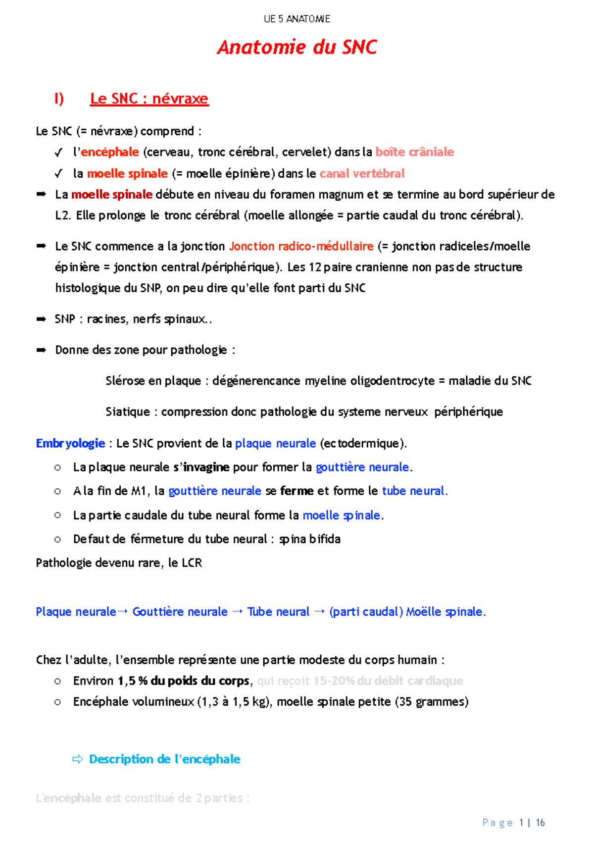 10. SNC Morandi ok - Anatomie du SNC I) Le SNC : névraxe Le SNC ...