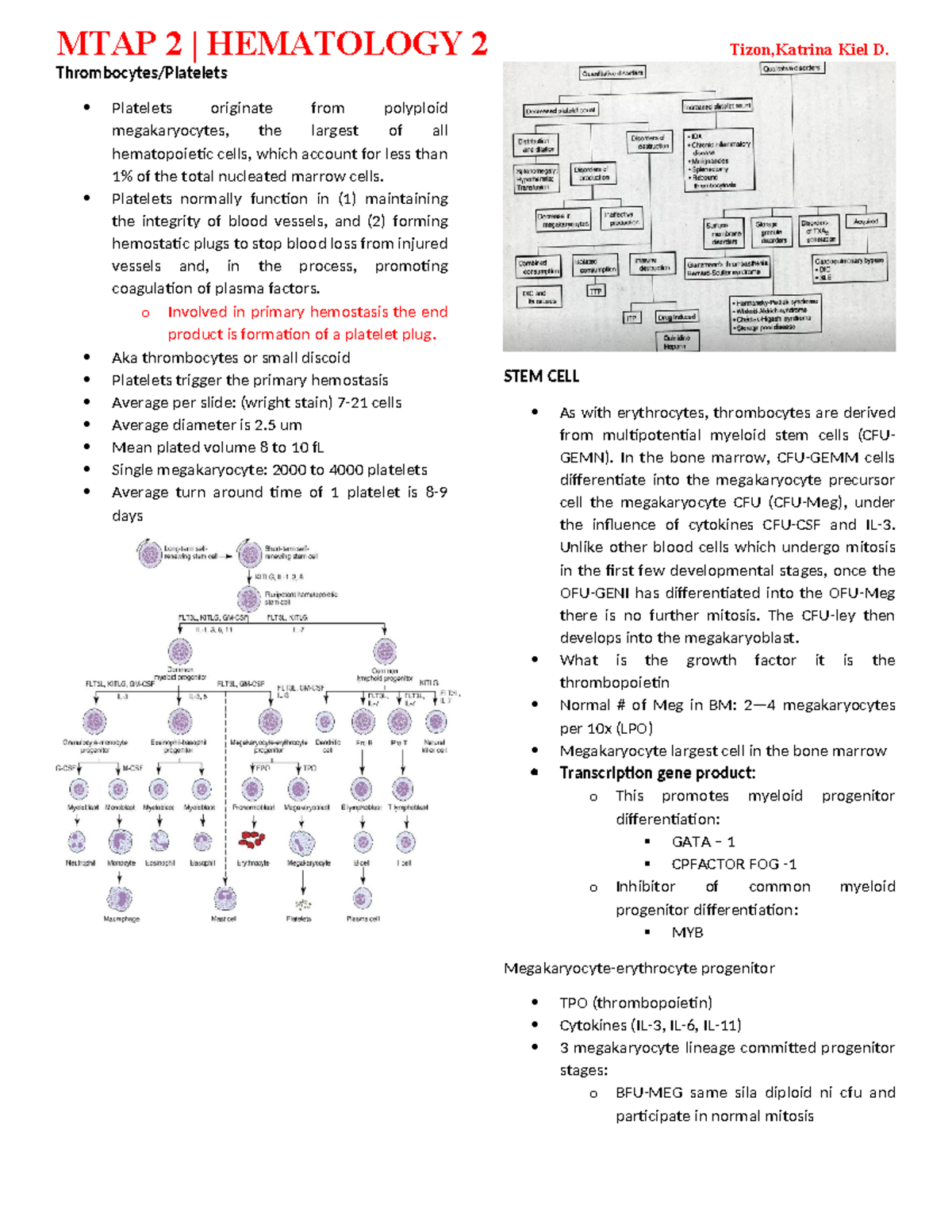 Hema 2 - hema notes - Thrombocytes/Platelets Platelets originate from ...