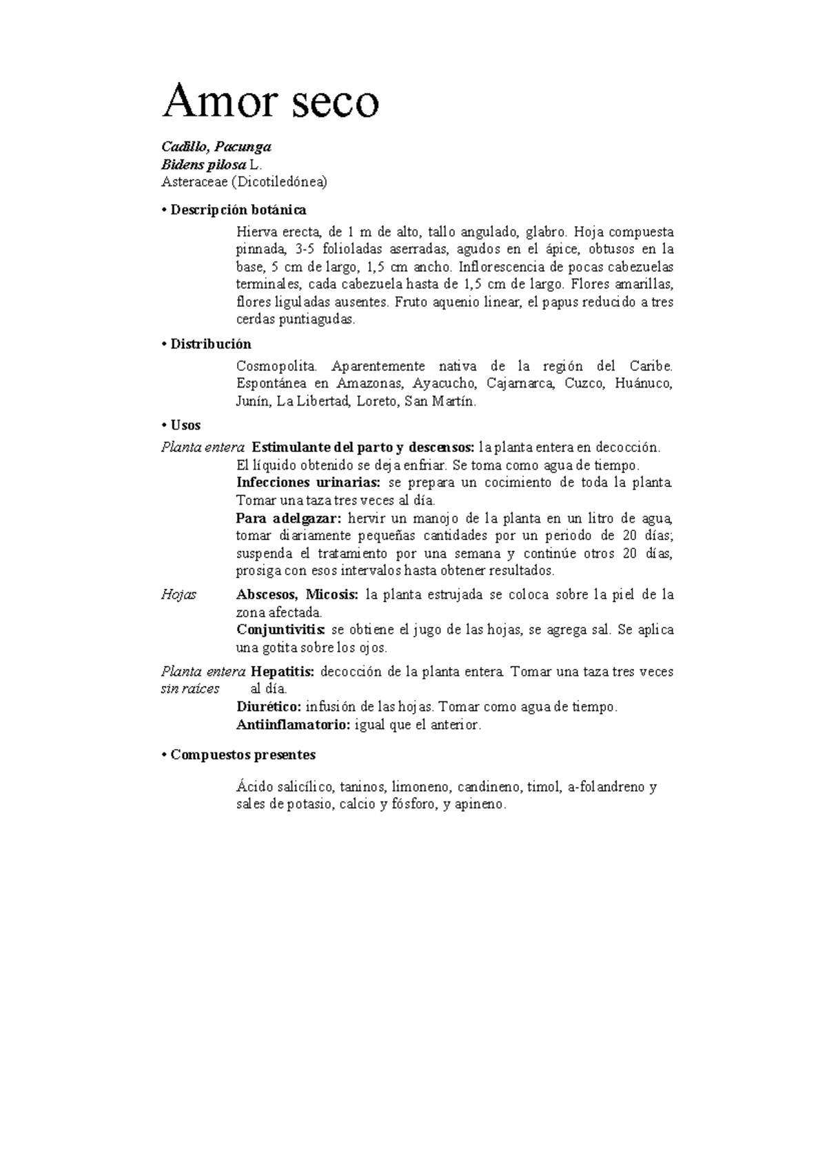 Amor seco - Planta Amor seco - Amor seco Cadillo, Pacunga Bidens pilosa ...